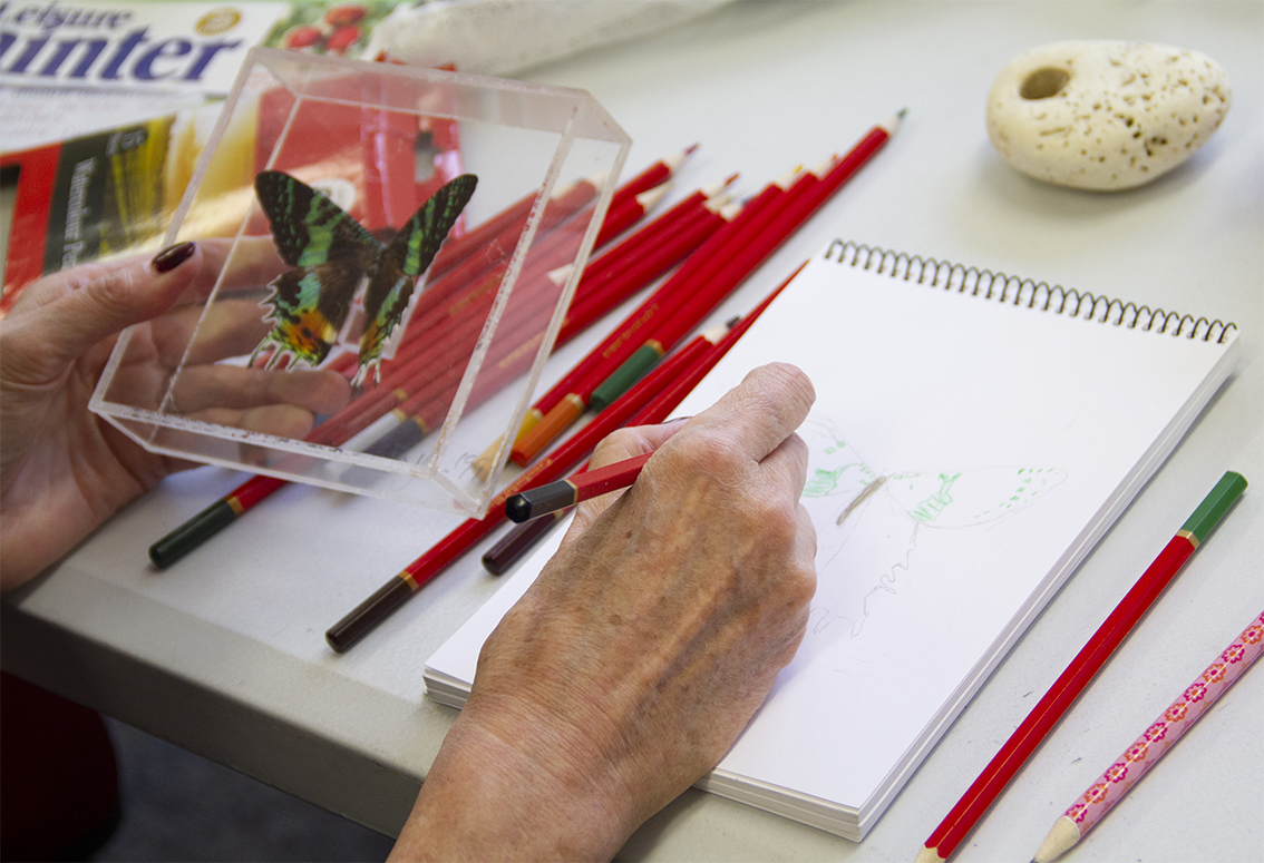 Connect More Art Group – Eggwirtz – The Artist Portfolio of Kate ...